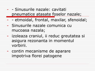 Sistemul respirator.ppt