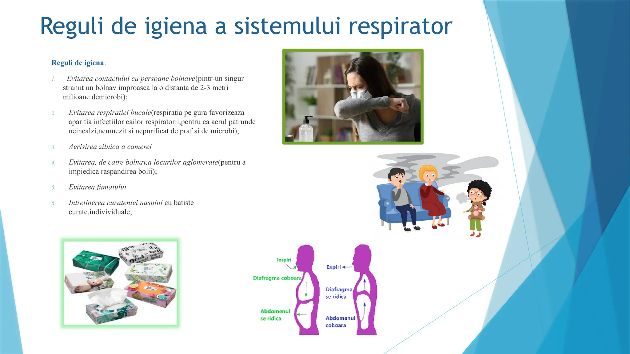Sistemul_respirator_la_om[1].pptx .pptxPrezentare PPt | PPTX