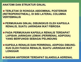 SISTEM URINARIA | PPT