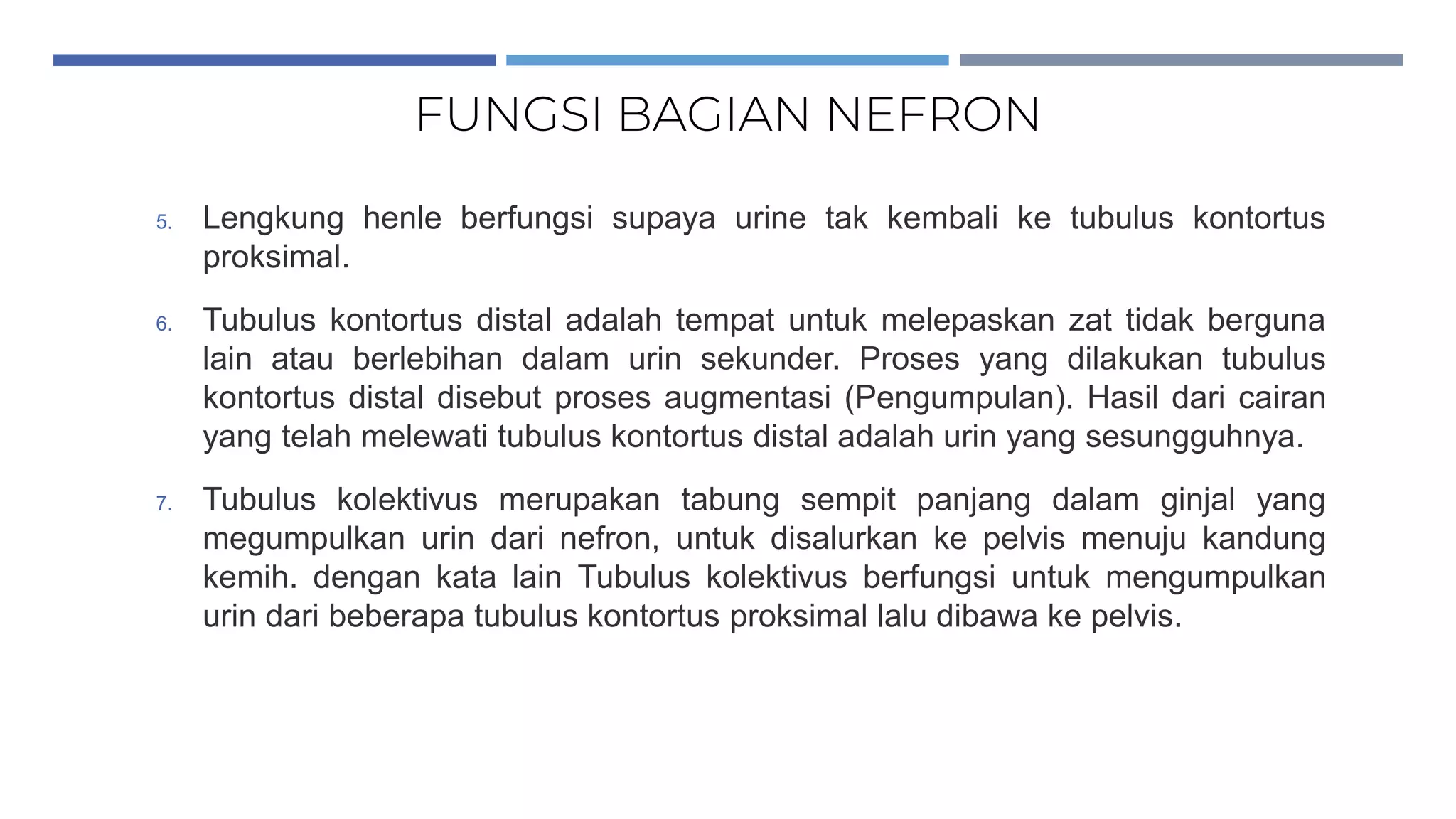 Sistem Urinaria.pptx