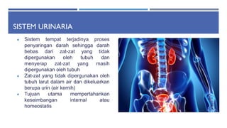 Sistem Urinaria.pptx