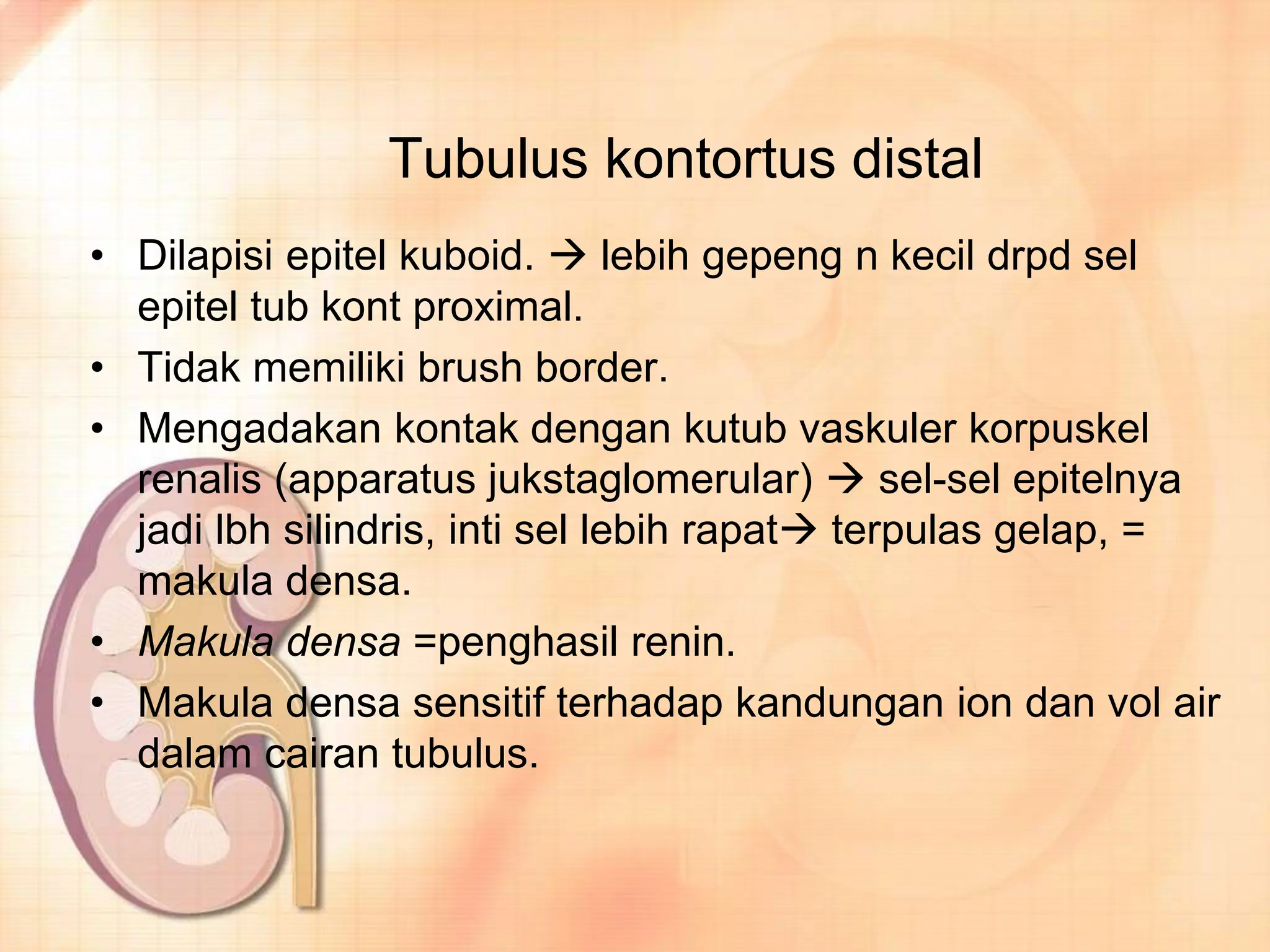 HISTOLOGI - Sistem - Urinaria DAN FUNGSI GINJAL.ppt