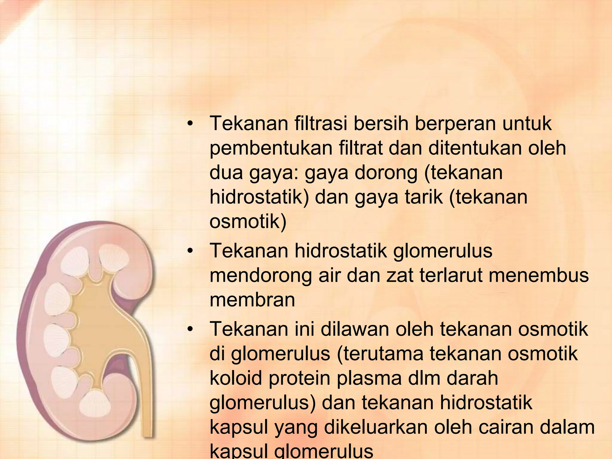HISTOLOGI - Sistem - Urinaria DAN FUNGSI GINJAL.ppt