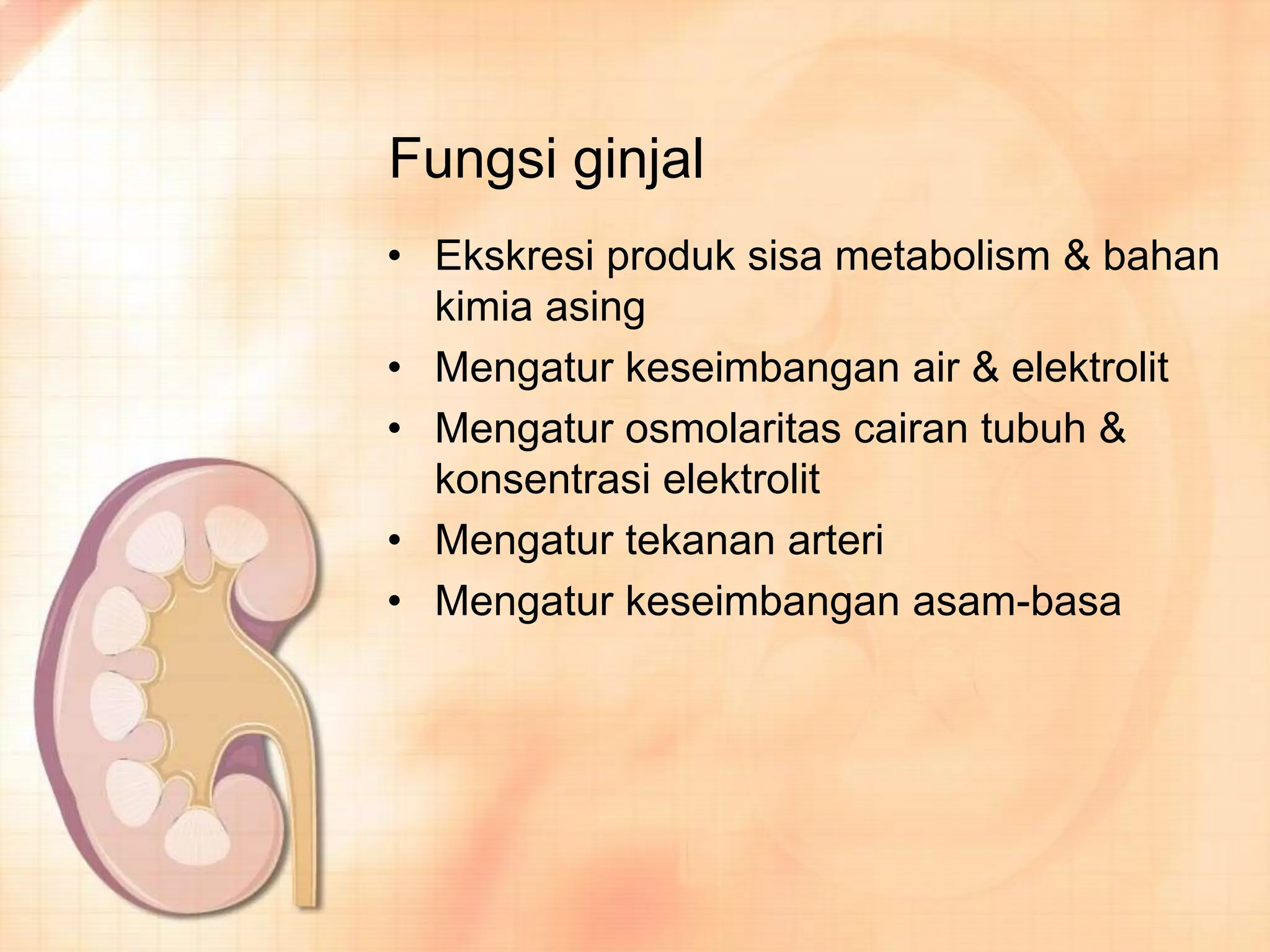 HISTOLOGI - Sistem - Urinaria DAN FUNGSI GINJAL.ppt
