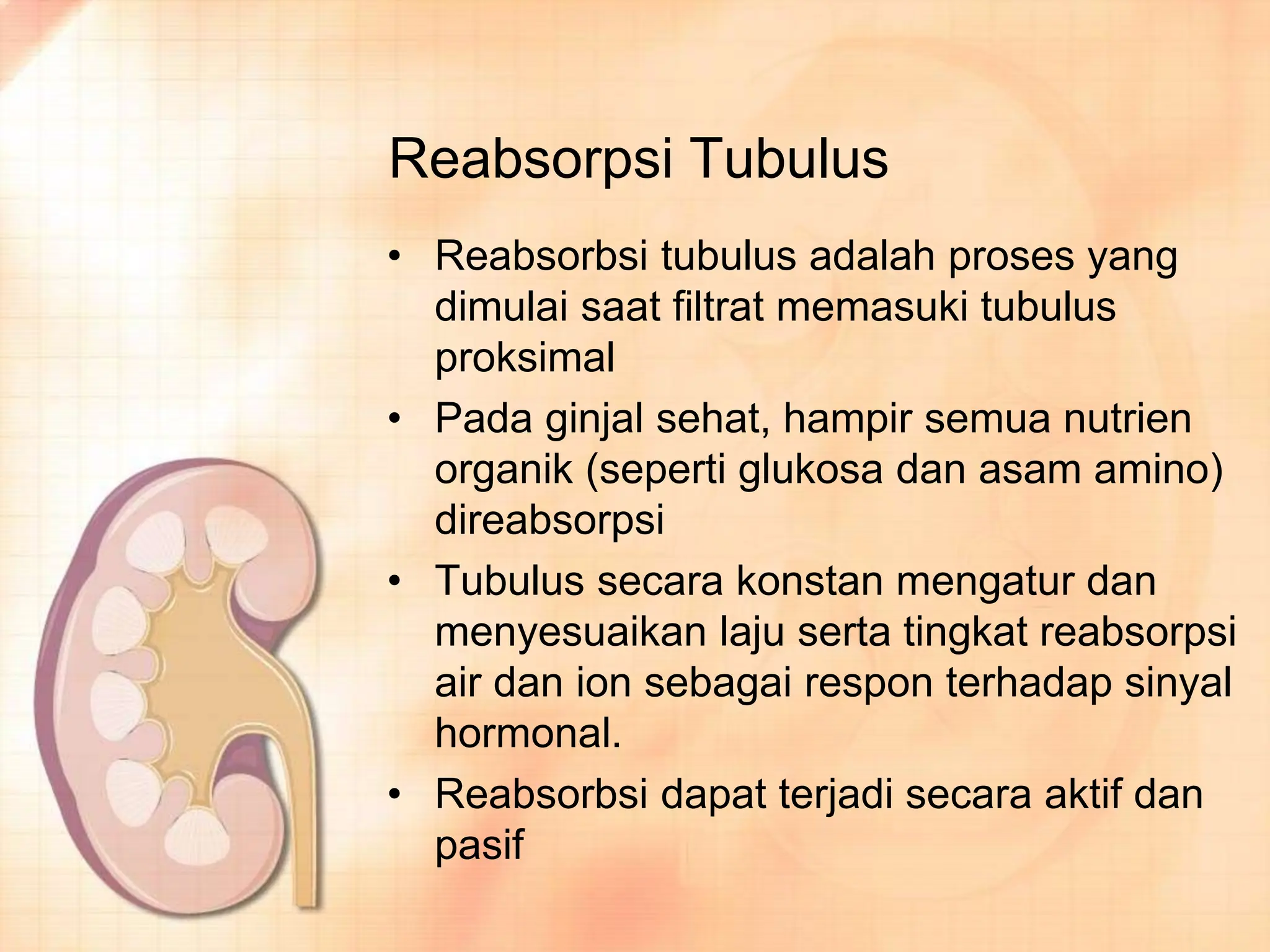 HISTOLOGI - Sistem - Urinaria DAN FUNGSI GINJAL.ppt
