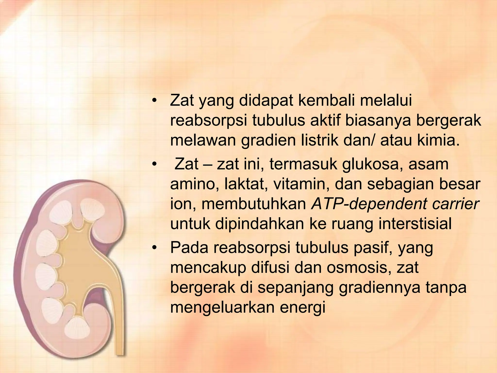 HISTOLOGI - Sistem - Urinaria DAN FUNGSI GINJAL.ppt