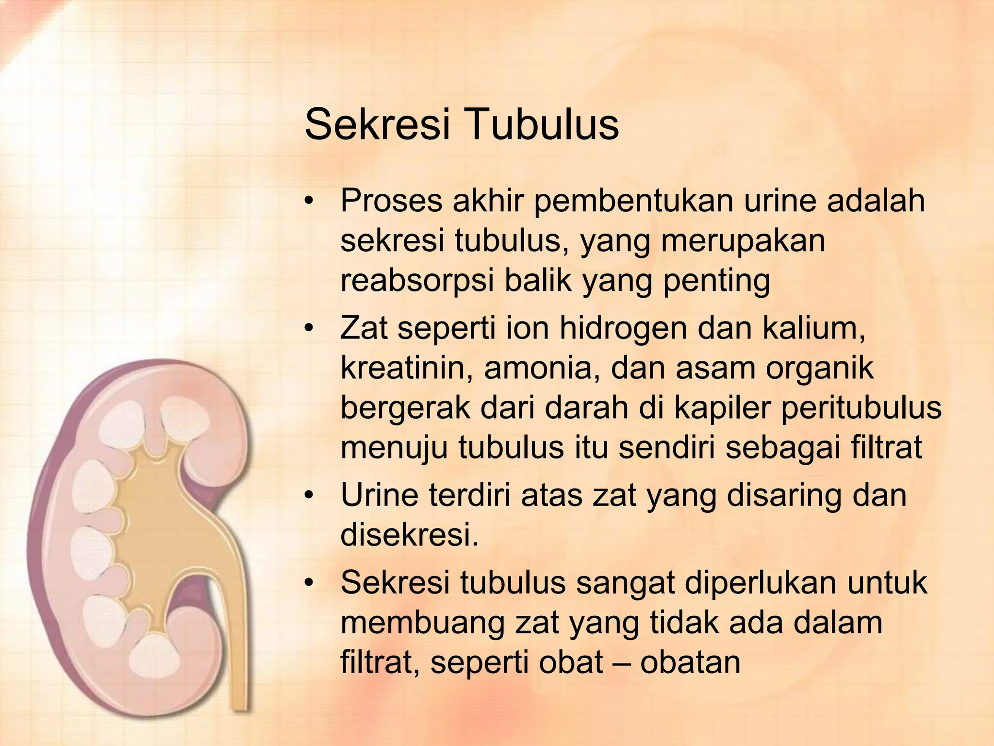 HISTOLOGI - Sistem - Urinaria DAN FUNGSI GINJAL.ppt