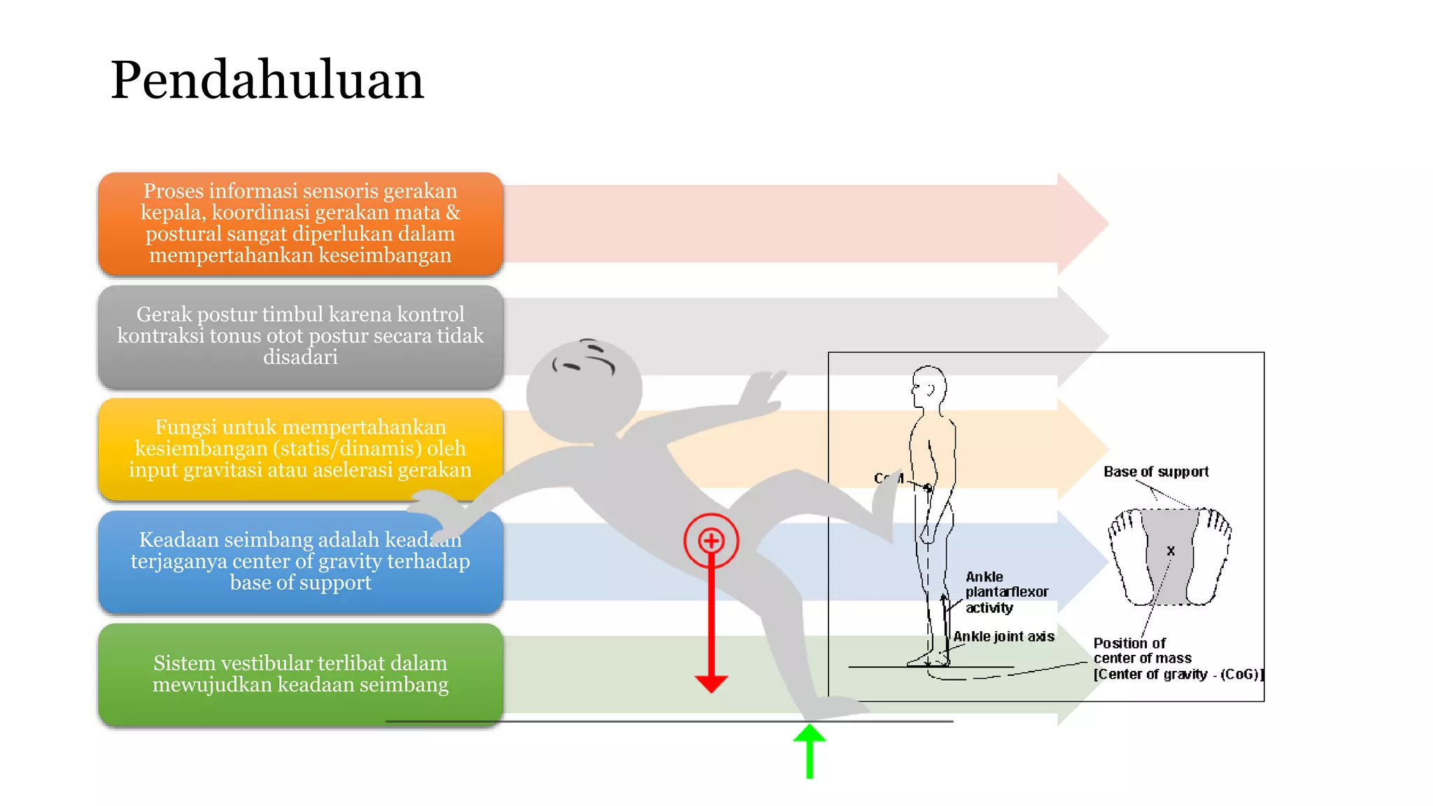 Sistem Vestibular.pptx