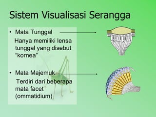 Sistem visualisasi dan komunikasi serangga | PPTX