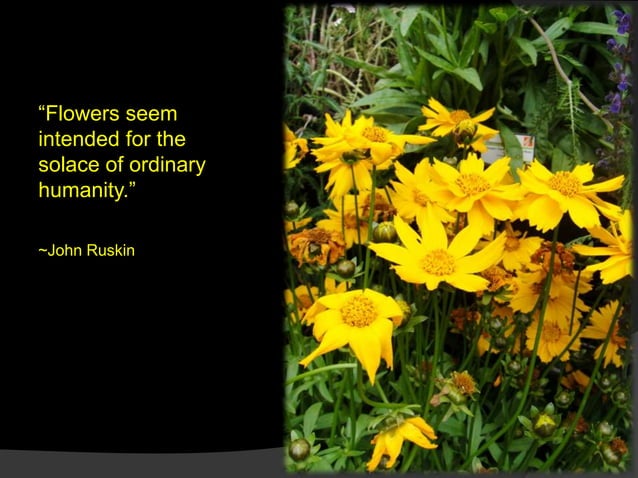 Flowers and such | PPT