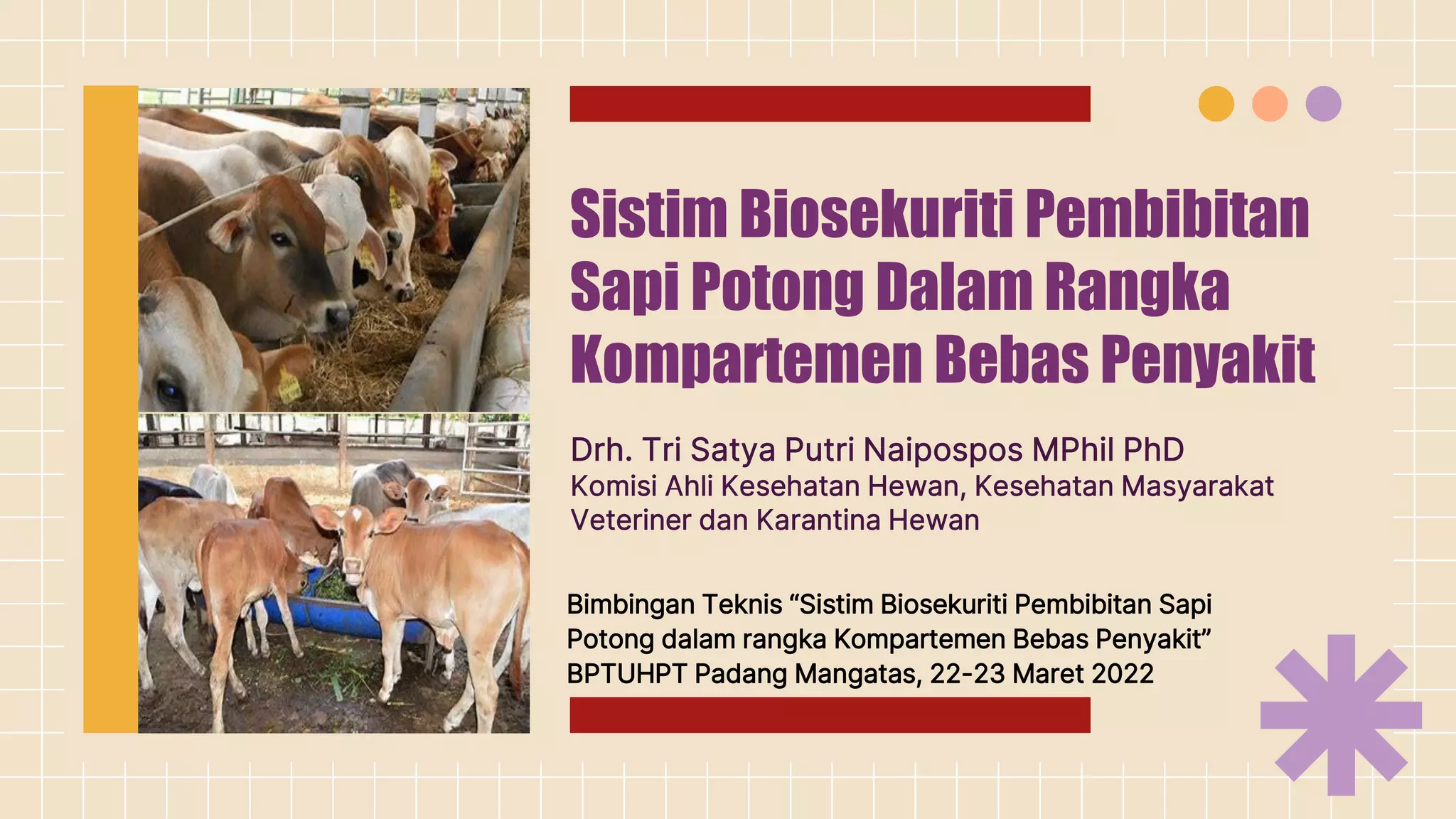 Sistim Biosekuriti Pembibitan Sapi Potong Dalam Rangka Kompartemen ...