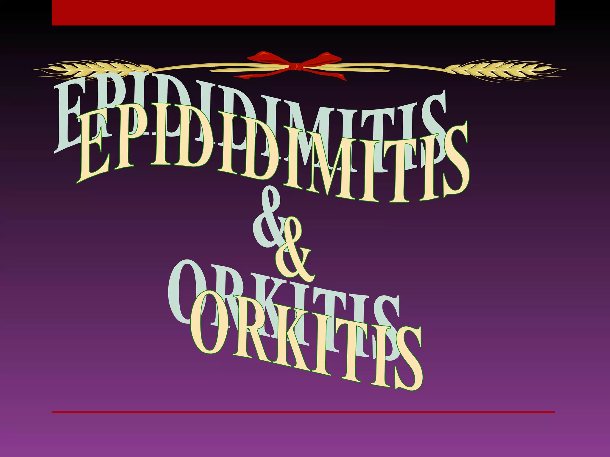 SISTITIS, PROSTATITIS AKUT, ORKITIS & EPIDIDIMITIS | PPT