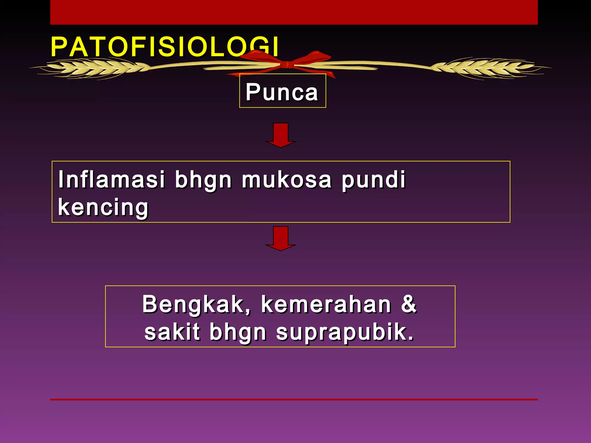 SISTITIS, PROSTATITIS AKUT, ORKITIS & EPIDIDIMITIS | PPT
