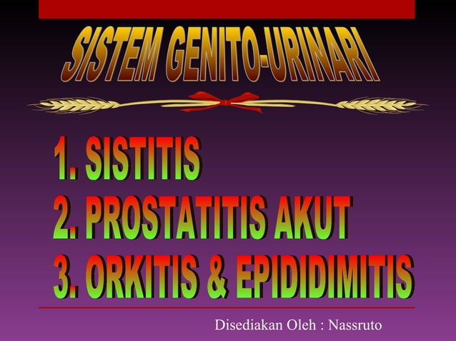 SISTITIS, PROSTATITIS AKUT, ORKITIS & EPIDIDIMITIS | PPT