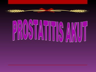 SISTITIS, PROSTATITIS AKUT, ORKITIS & EPIDIDIMITIS | PPT