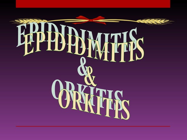 SISTITIS, PROSTATITIS AKUT, ORKITIS & EPIDIDIMITIS | PPT