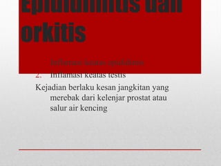 Sistits, Epididimitis dan Orkitis | PPT