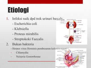 Sistits, Epididimitis dan Orkitis | PPT