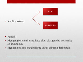 sist kardiovaskuler. jantung pembuluh darah | PPTX