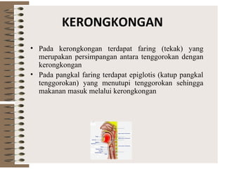 Sist pencernaan pada manusia | PPT