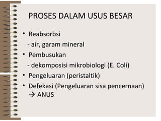 Sist pencernaan pada manusia | PPT