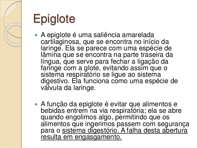 Sistema respiratório
