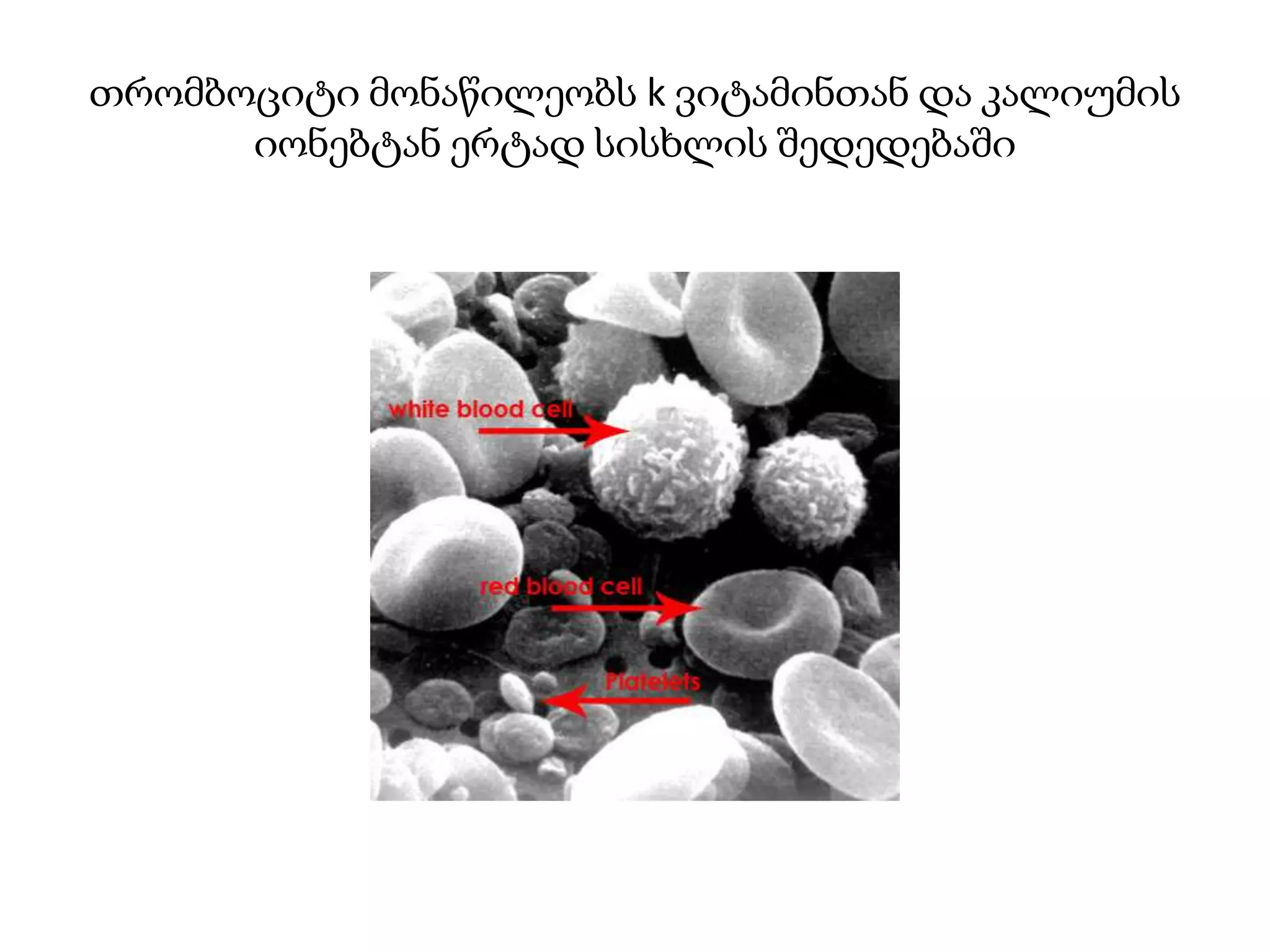 Sisxlis shedgeniloba | PPTX