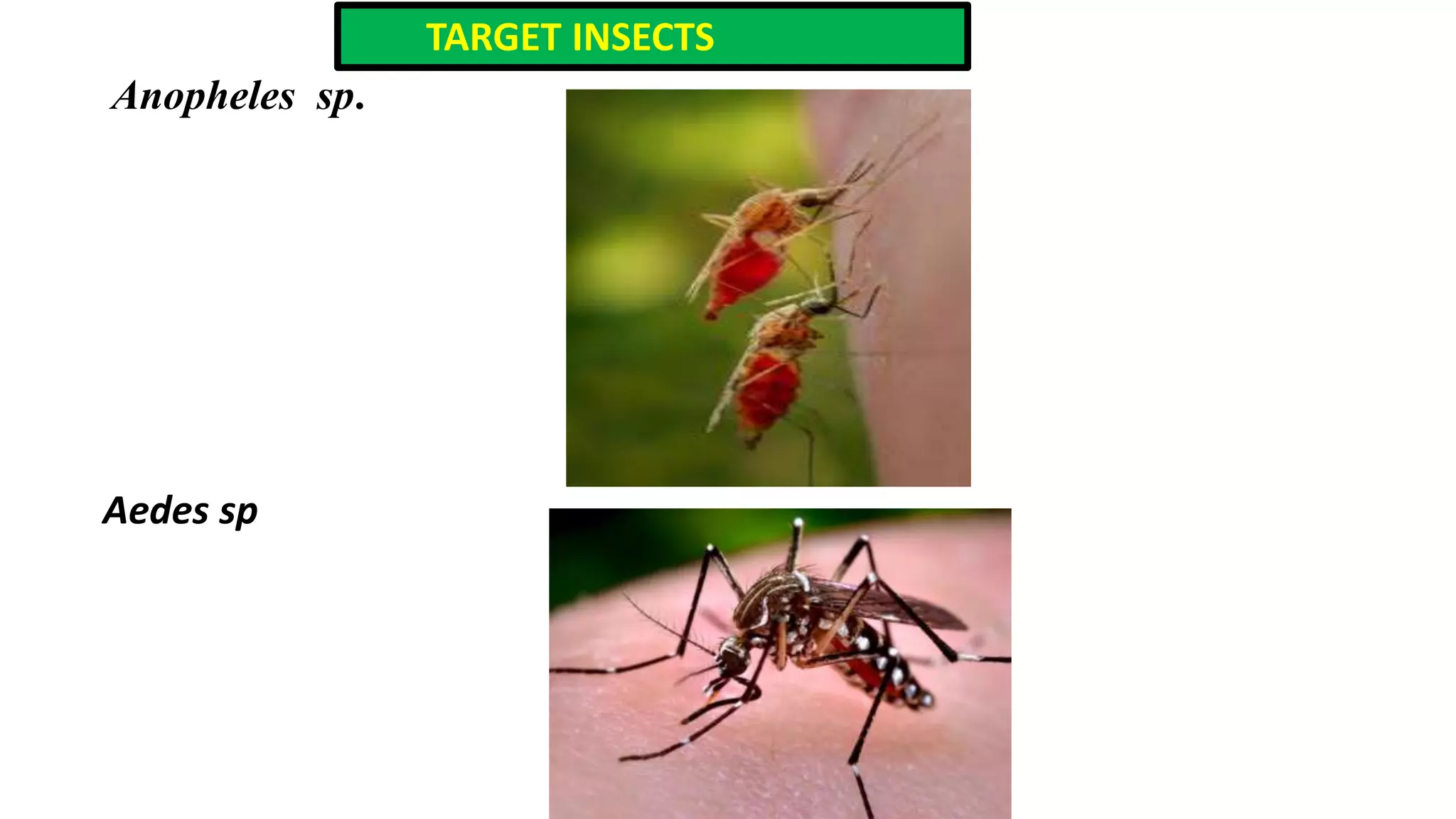 Sterile Insect Technique | PPTX