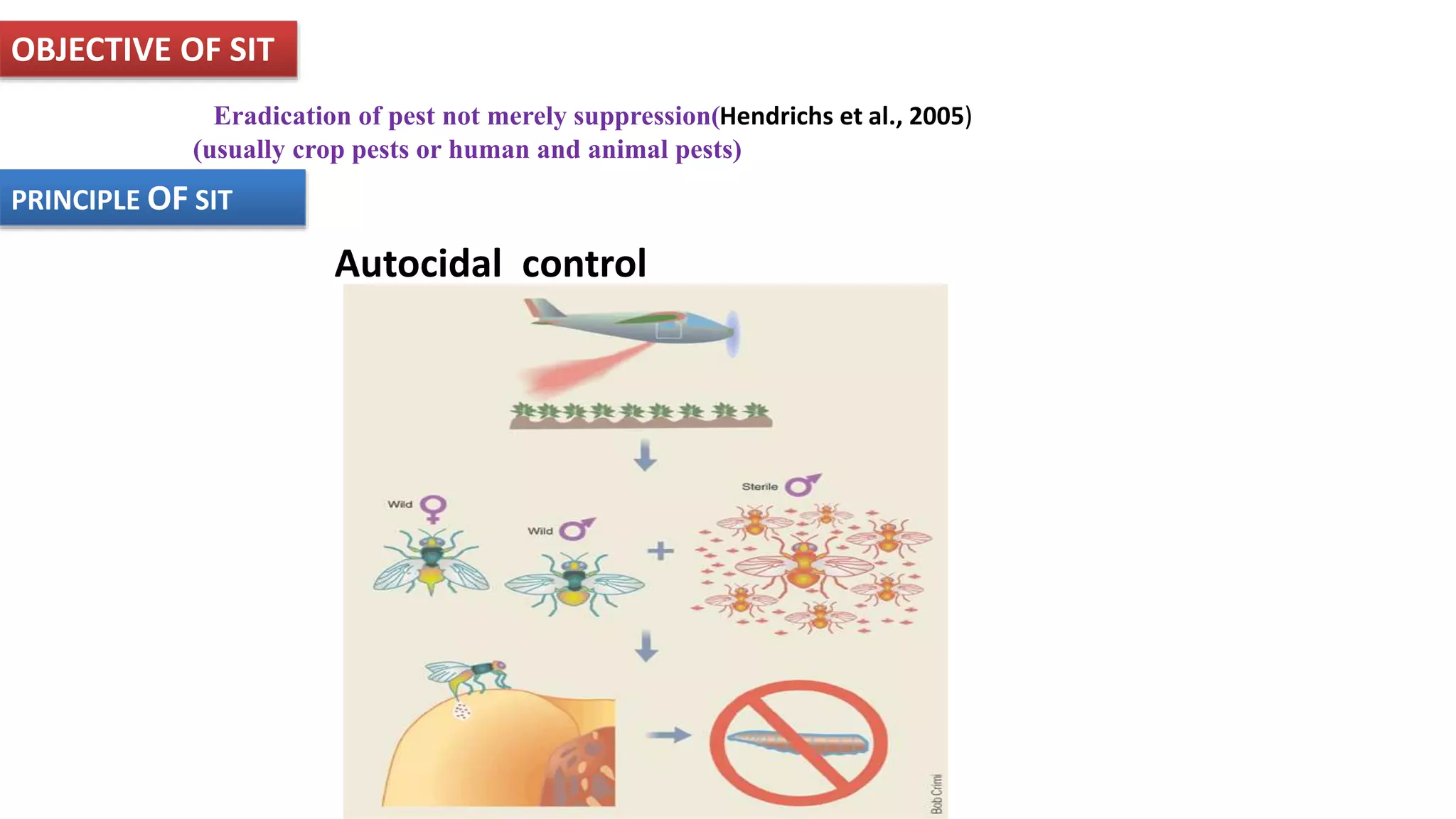 Sterile Insect Technique | PPTX