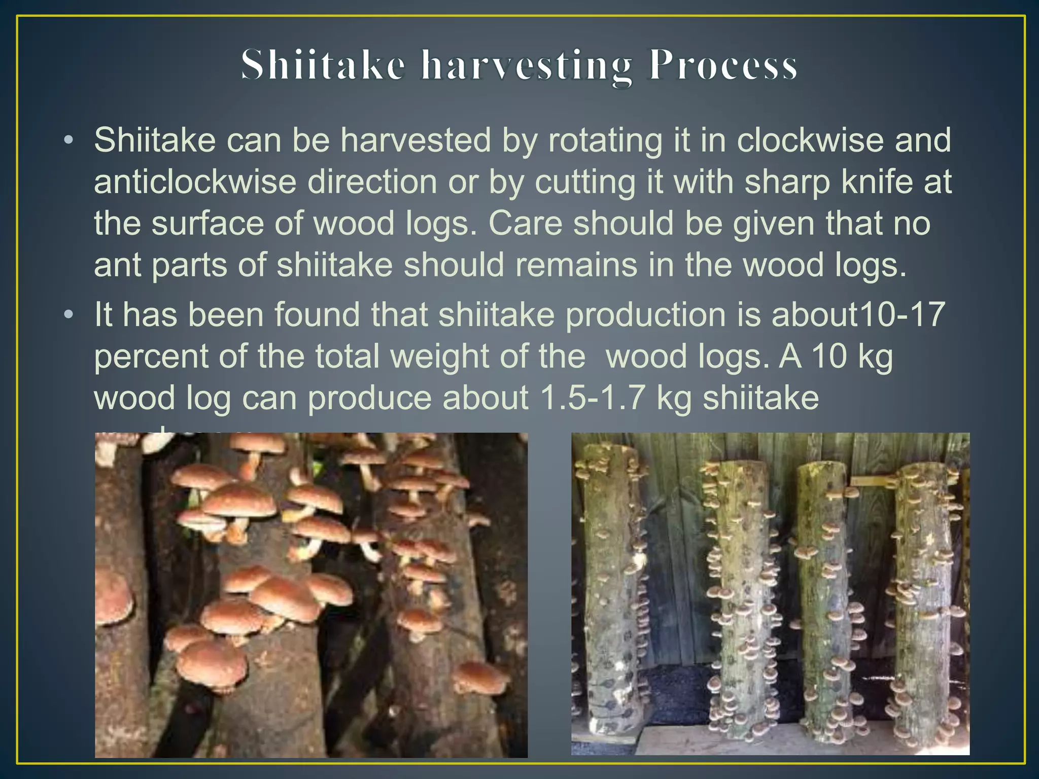 Shiitake cultivation methods | PPTX