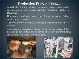 Shiitake cultivation methods | PPTX