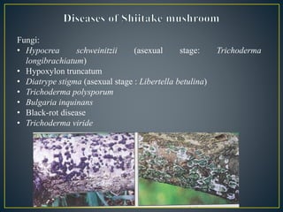 Shiitake cultivation methods | PPTX