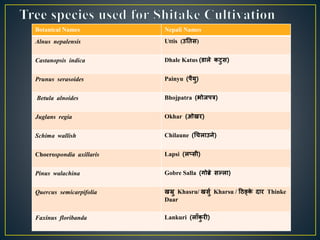 Shiitake cultivation methods | PPTX