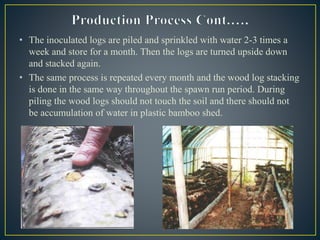 Shiitake cultivation methods | PPTX