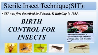 Sterile Insect Technique | PPTX