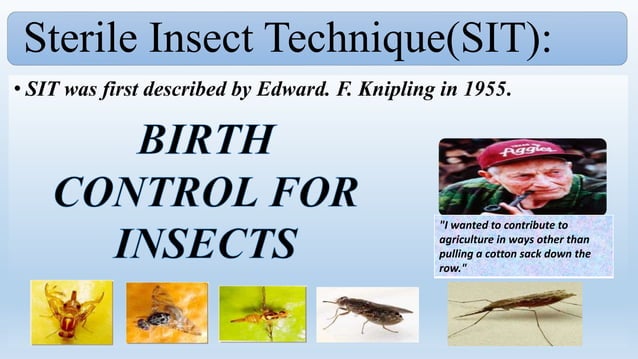 Sterile Insect Technique | PPT