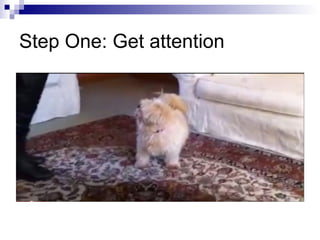 dogetraining sitdownsandy | PPT