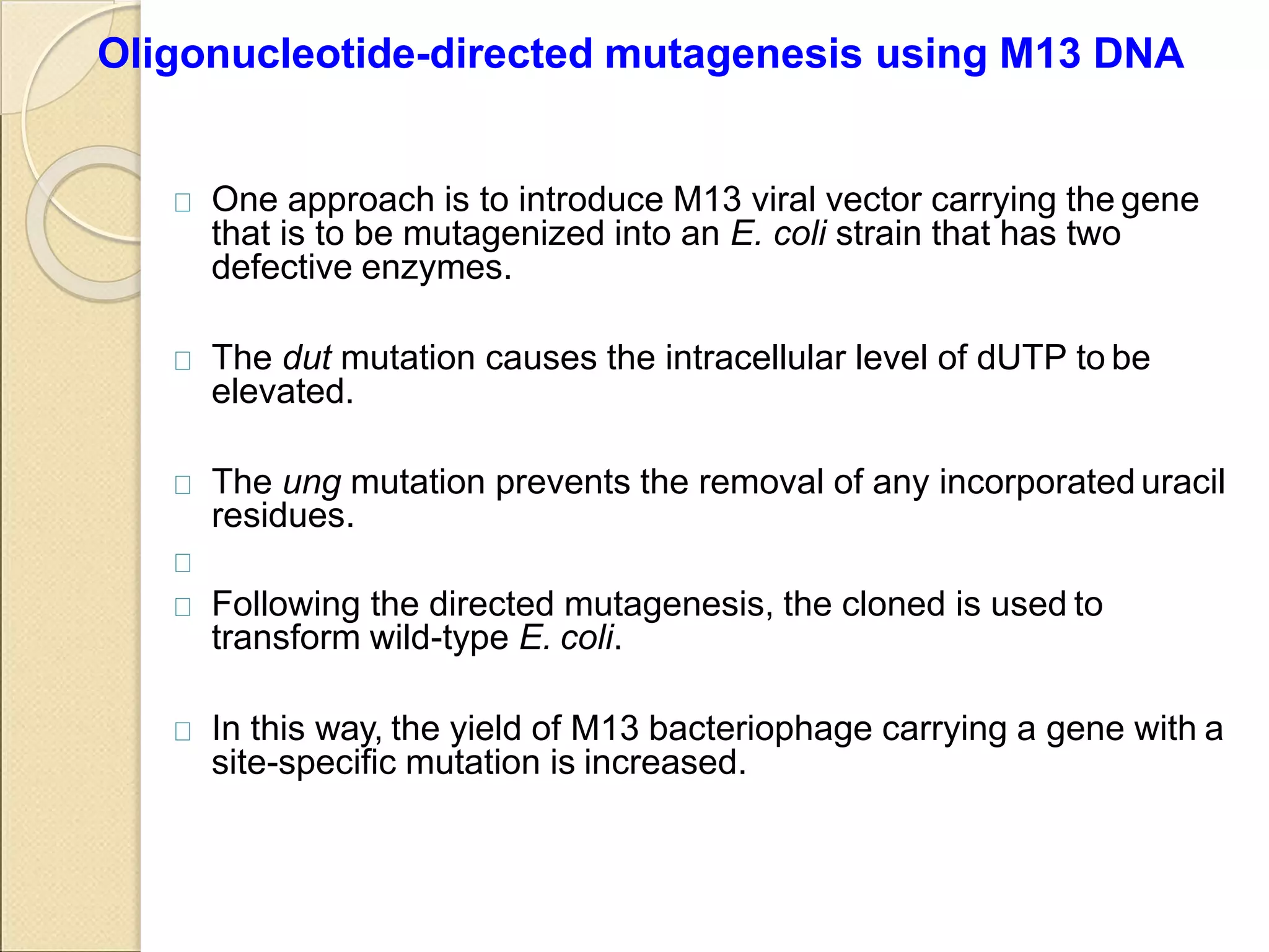 Site-Directed-Mutagenesis.pptx