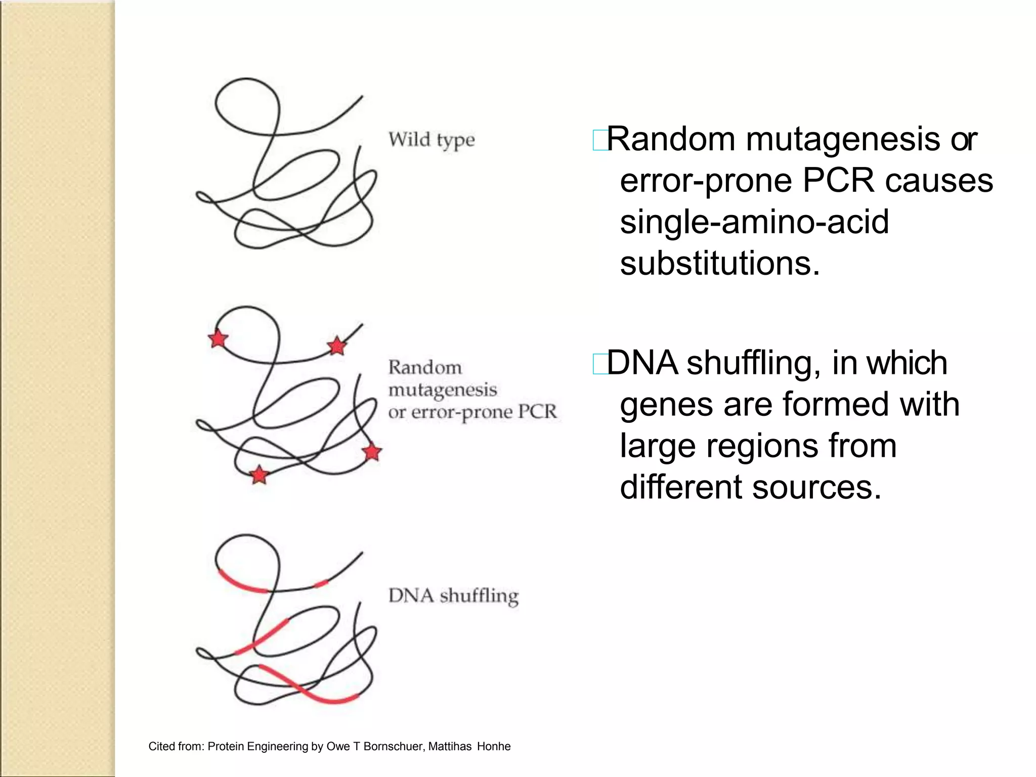 Site-Directed-Mutagenesis.pptx