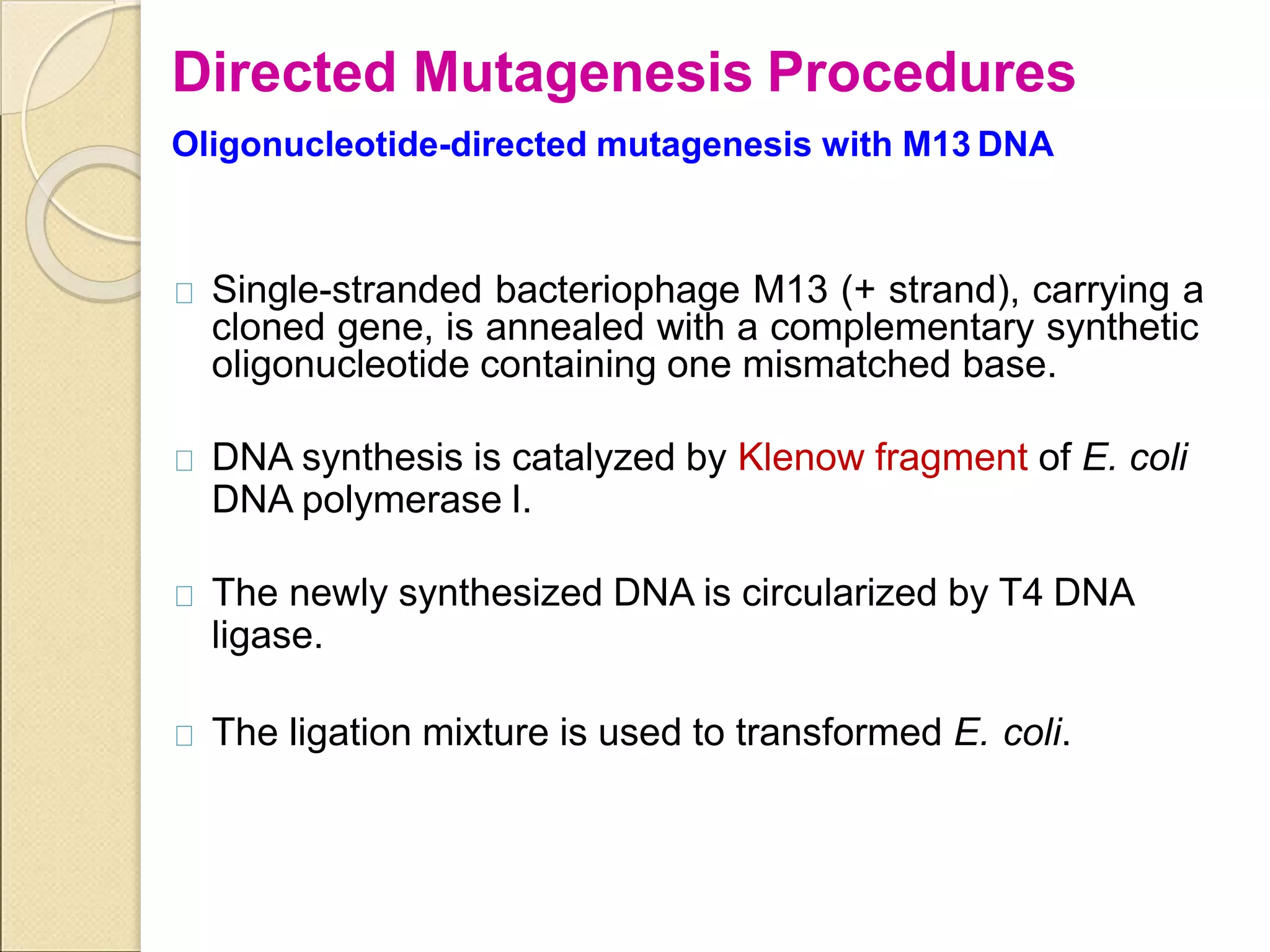 Site-Directed-Mutagenesis.pptx