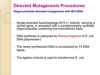 Site-Directed-Mutagenesis.pptx