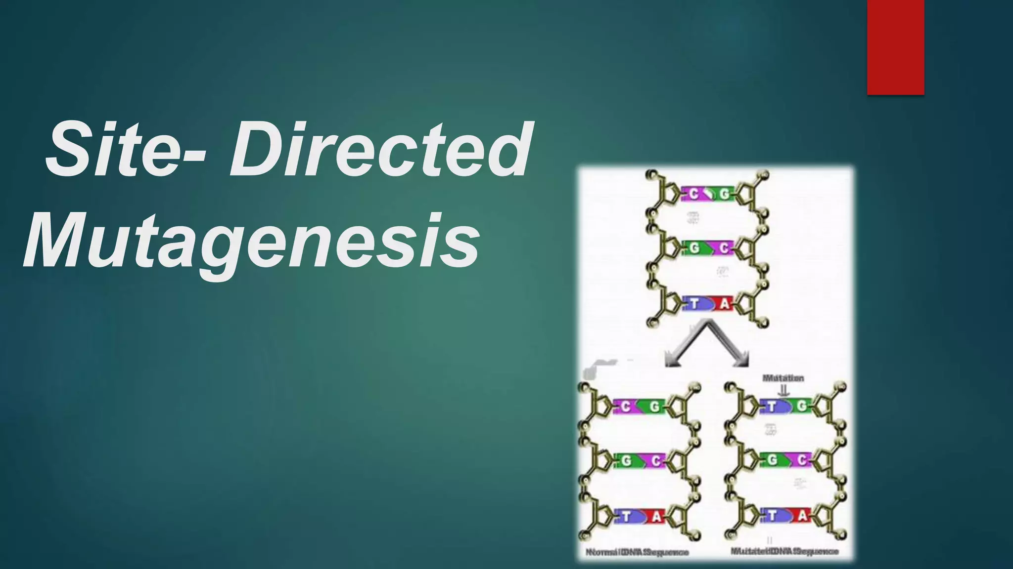 Site directed mutagenesis | PPTX