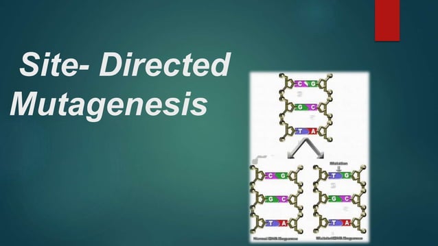 Site directed mutagenesis | PPTX | Genetics | Science