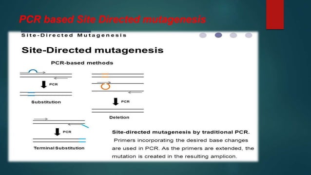 Site directed mutagenesis | PPT