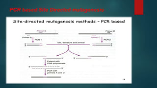 Site directed mutagenesis | PPTX