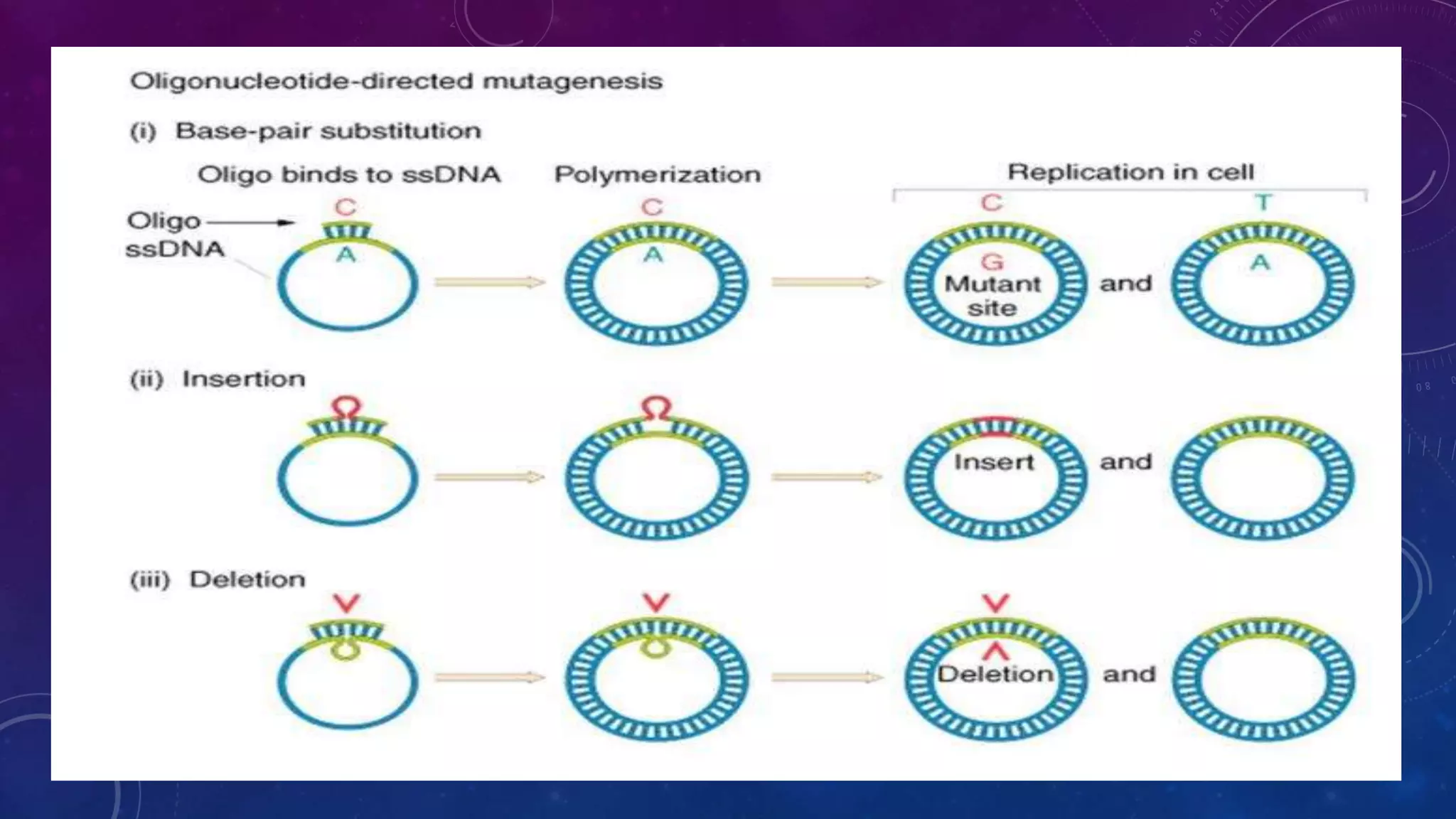SITE-DIRECTED MUTAGENESIS.pptx