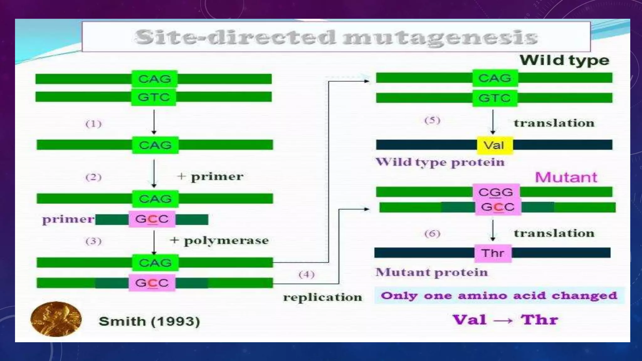 SITE-DIRECTED MUTAGENESIS.pptx