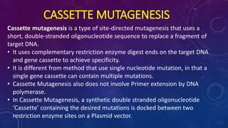 SITE-DIRECTED MUTAGENESIS.pptx