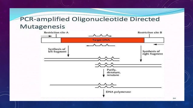 SITE-DIRECTED MUTAGENESIS.pptx