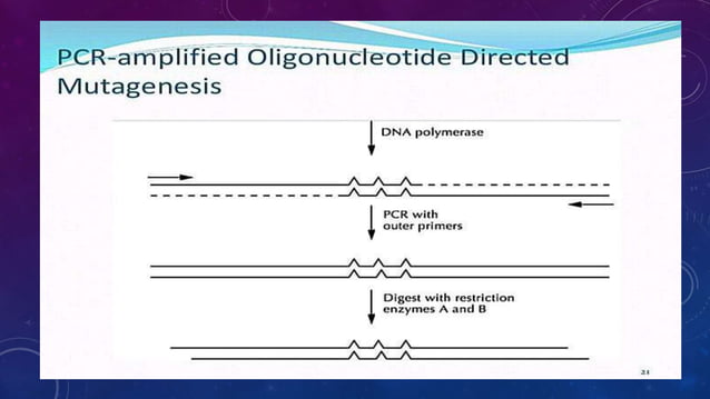SITE-DIRECTED MUTAGENESIS.pptx